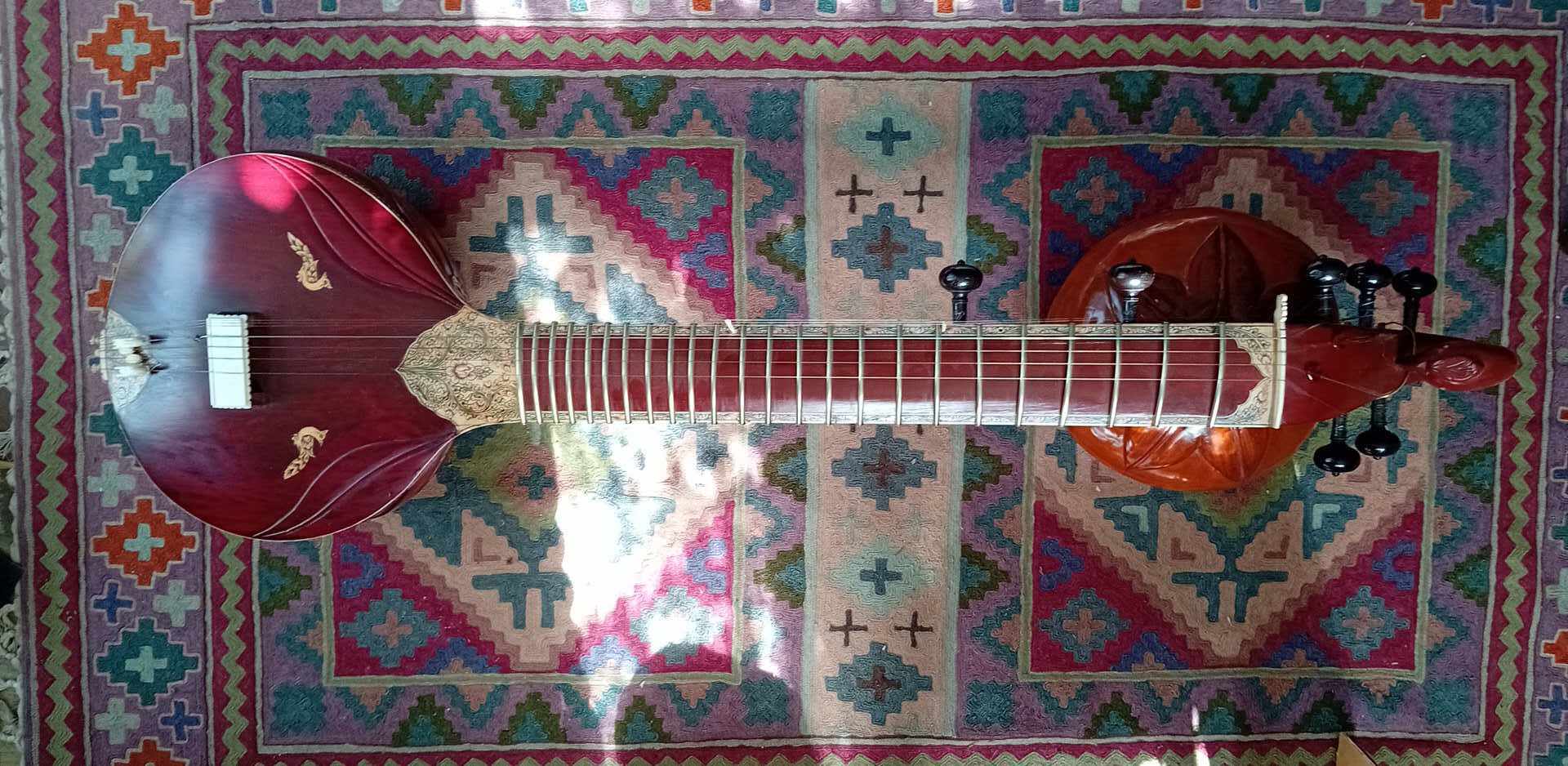 Vintage Kachaapi vina (kachua sitar) - Toss Levy