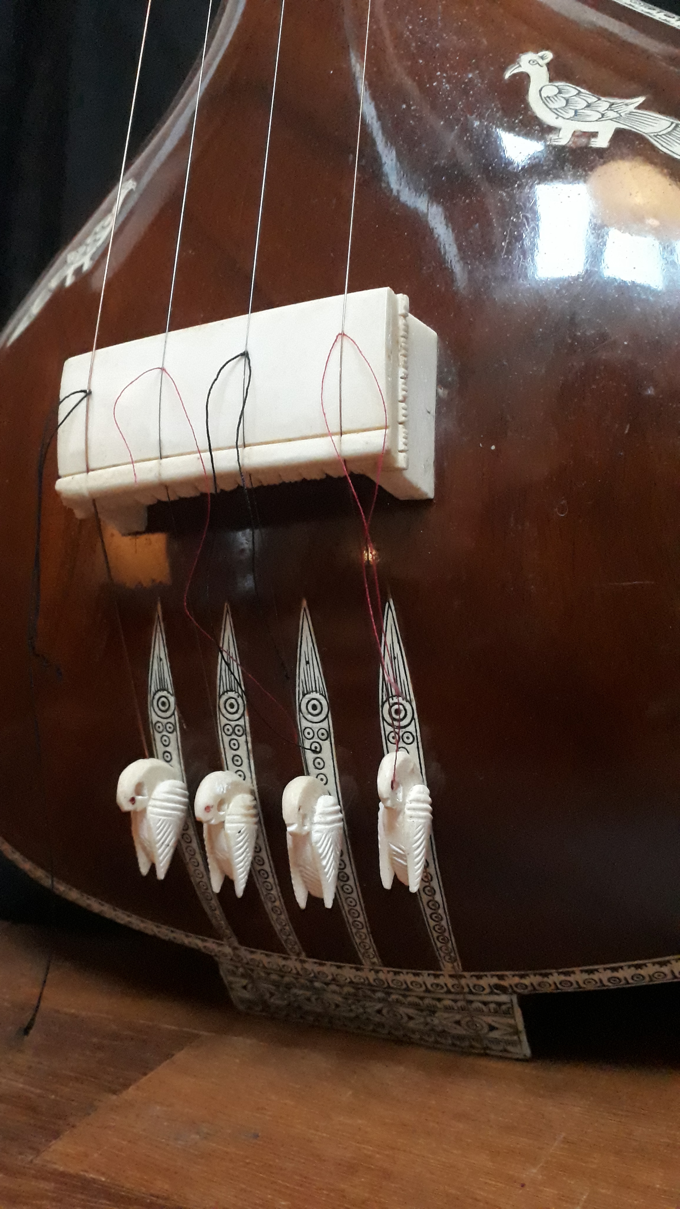 Female tanpura 4 string - Toss Levy