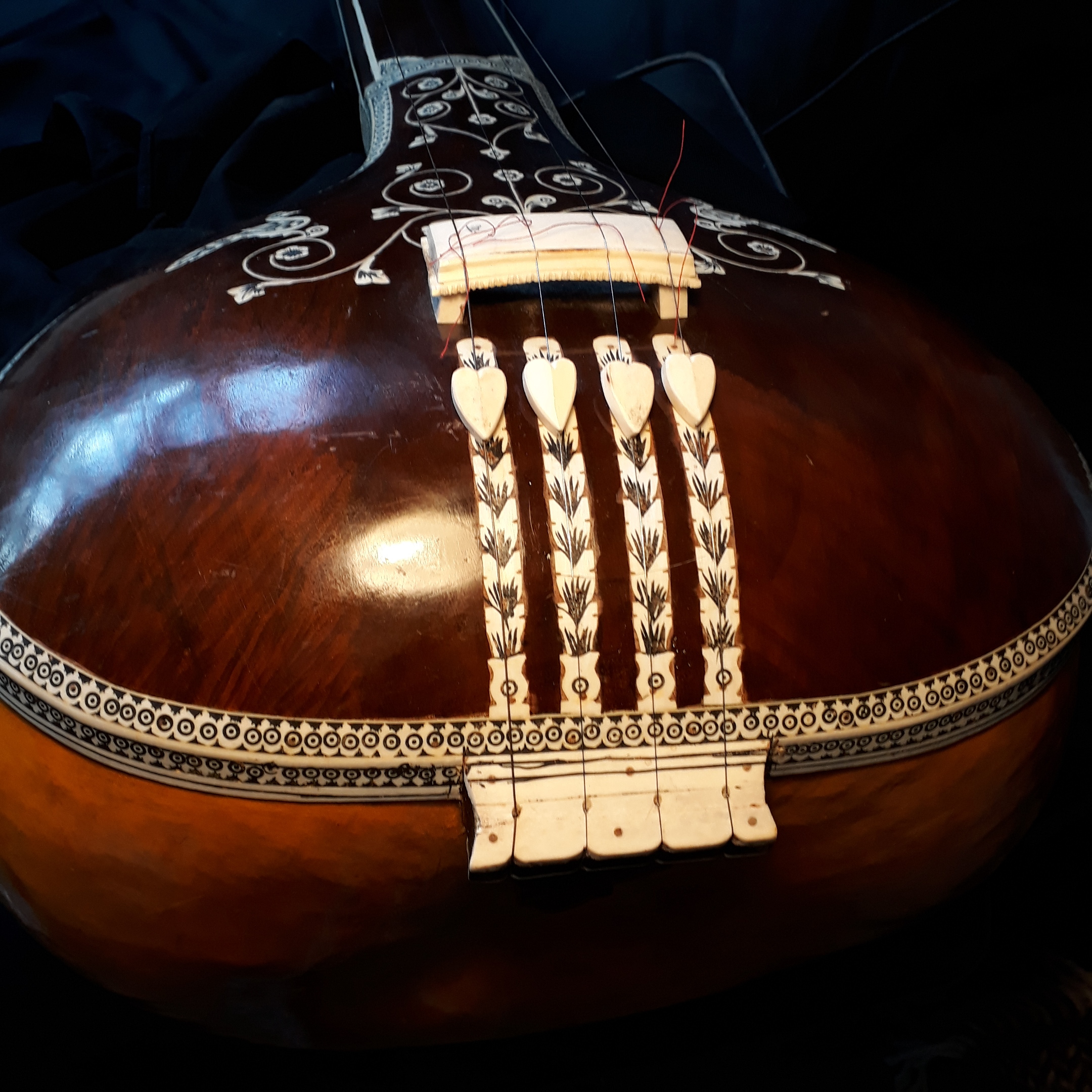 Female tanpura - Toss Levy